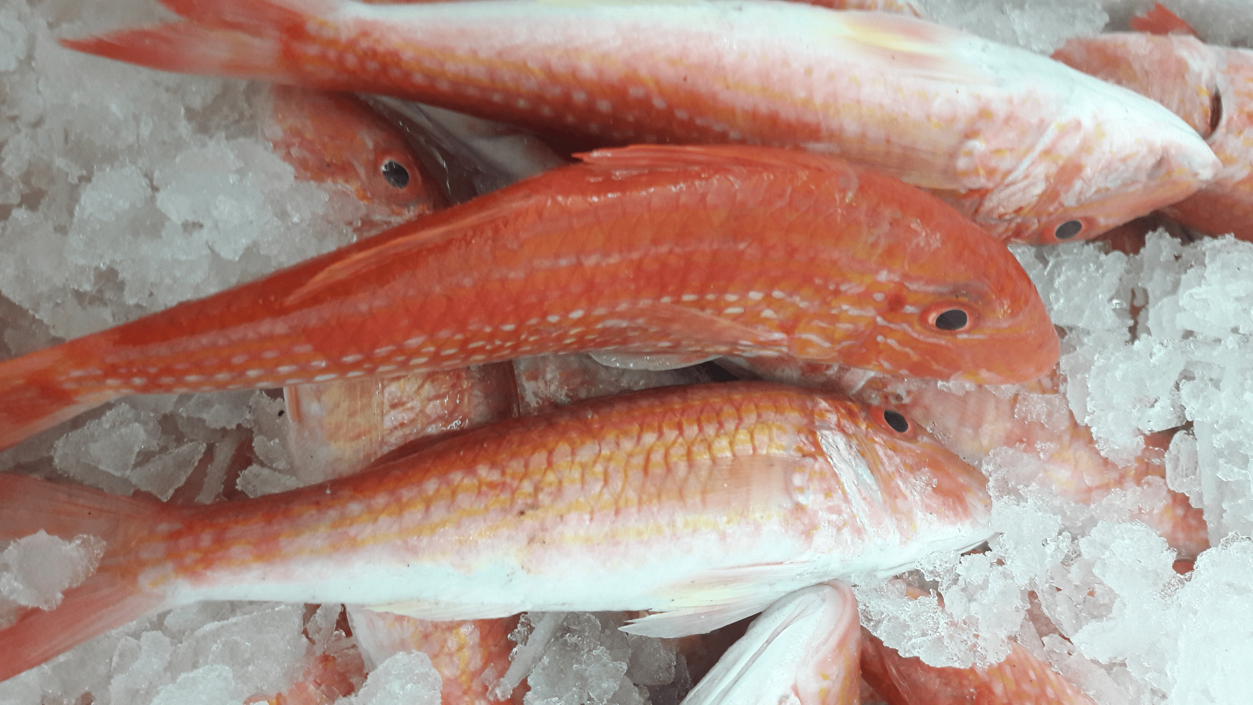 Carte d'identité du produit